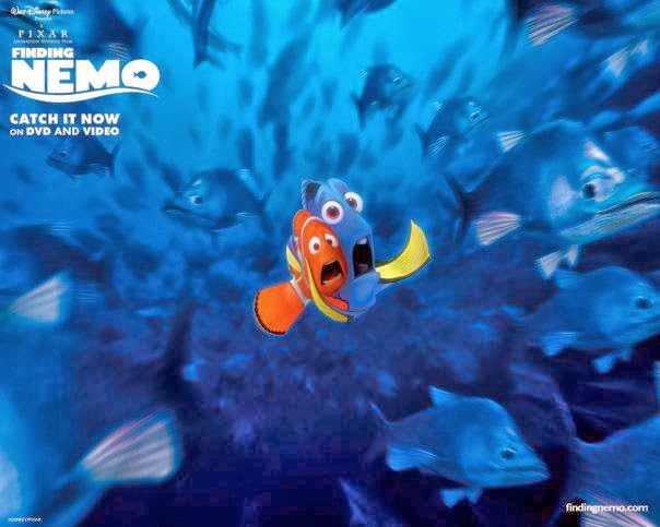 Foto Dan Dongeng Di Balik Finding Nemo - Portal Fakta