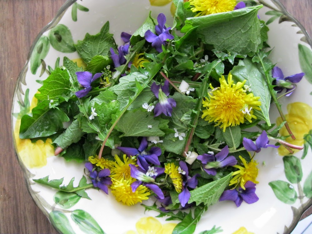 The Paracord Project: Spring Wild Edibles