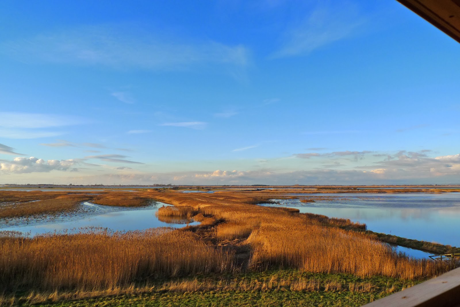 Simon and Karen Spavin: Alkborough Flats