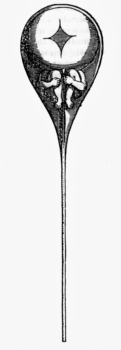 fundamental: Preformismo e Epigénese