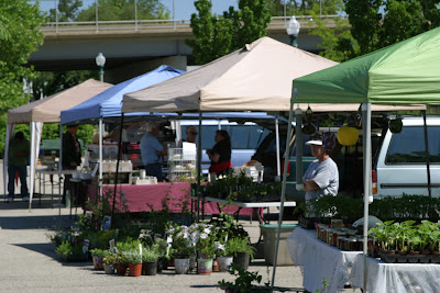 City of Rolla, Missouri: Rolla Downtown Farmer’s Market open every Tuesday