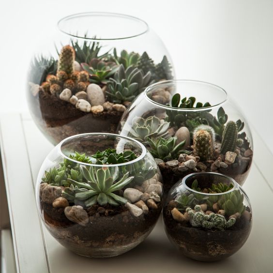 20 TERRARIUM DESIGN IDEAS FOR YOUR HOME