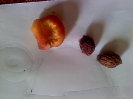 Visings HOW TO Make 5 Year Old Science For An Unschooler visings-how-to-make-5-year-old-science-for-an-unschooler