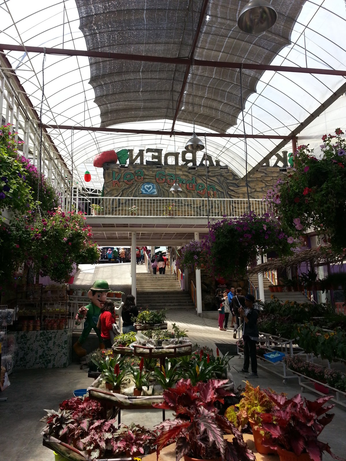 my cloud of thoughts: Kea Farm Market @ Cameron Highlands