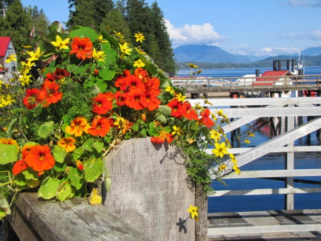 Millennium Dragon: A Day on Vancouver Islands West Coast - Travelling ...