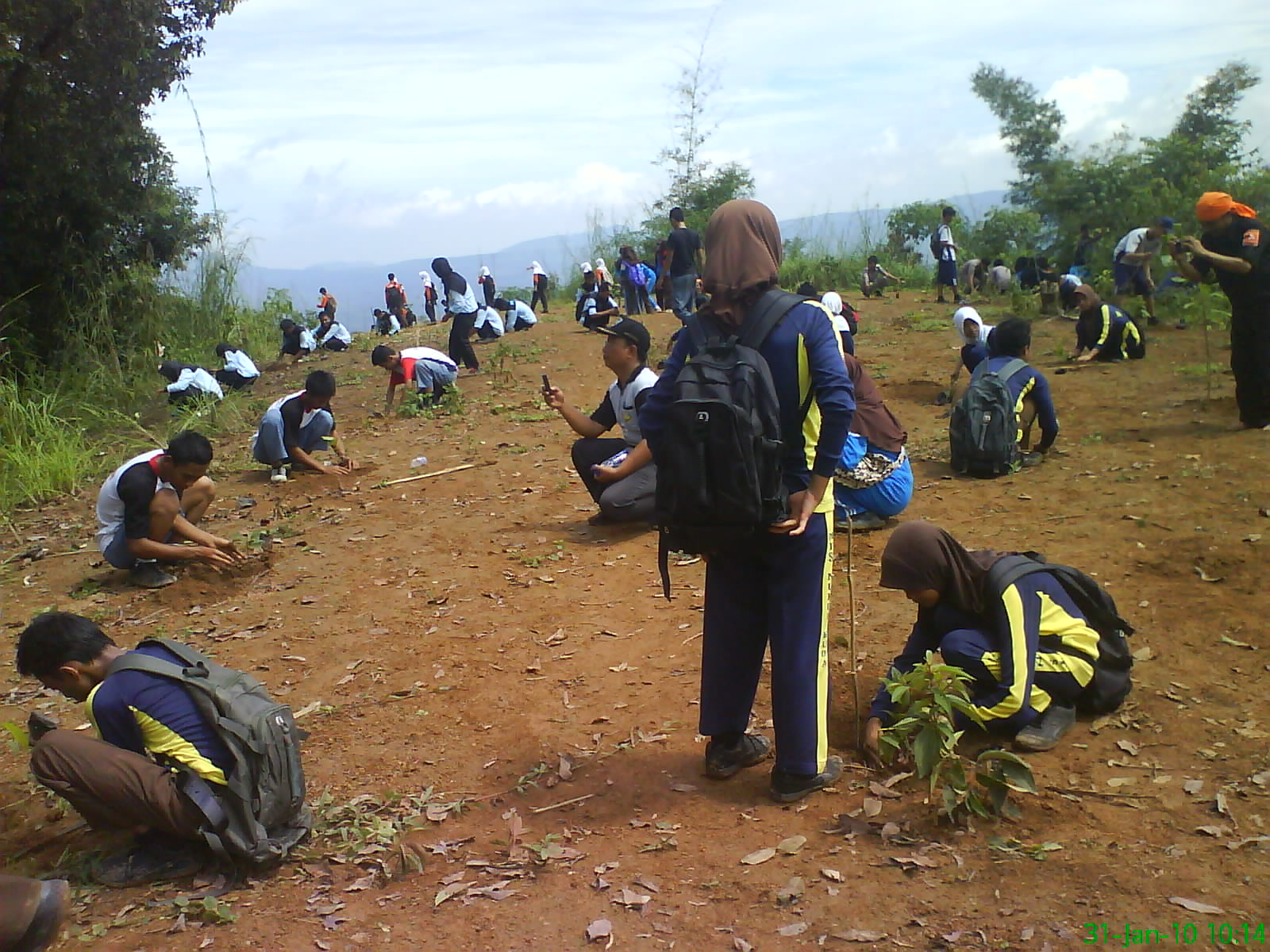 Reboisasi atau Reboisasi ? | langkah hijau 2