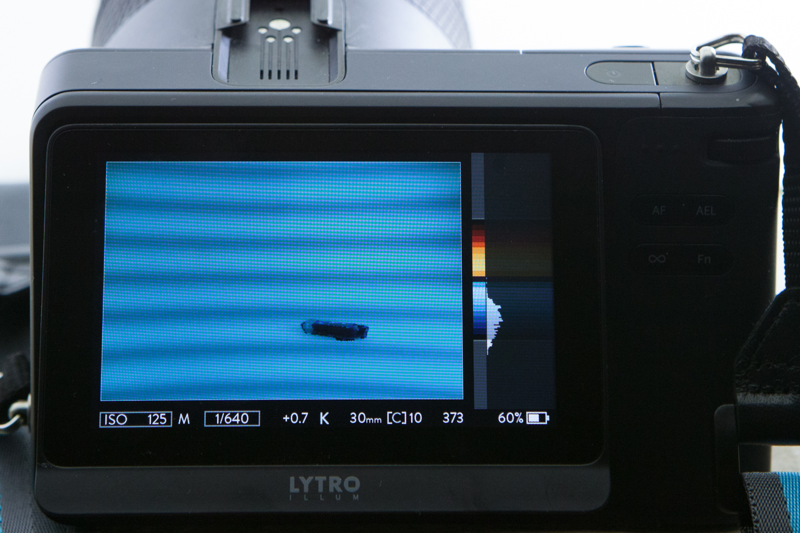 Steve Hwan's Photography Blog: Playing With The Lytro Illum 2: The ...