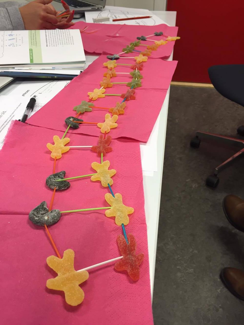 Naturfag med Andrine: DNA med seigmenn og salte sild