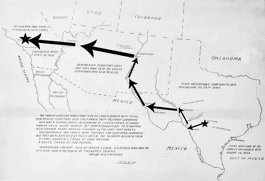 Cesar Chavez March Map