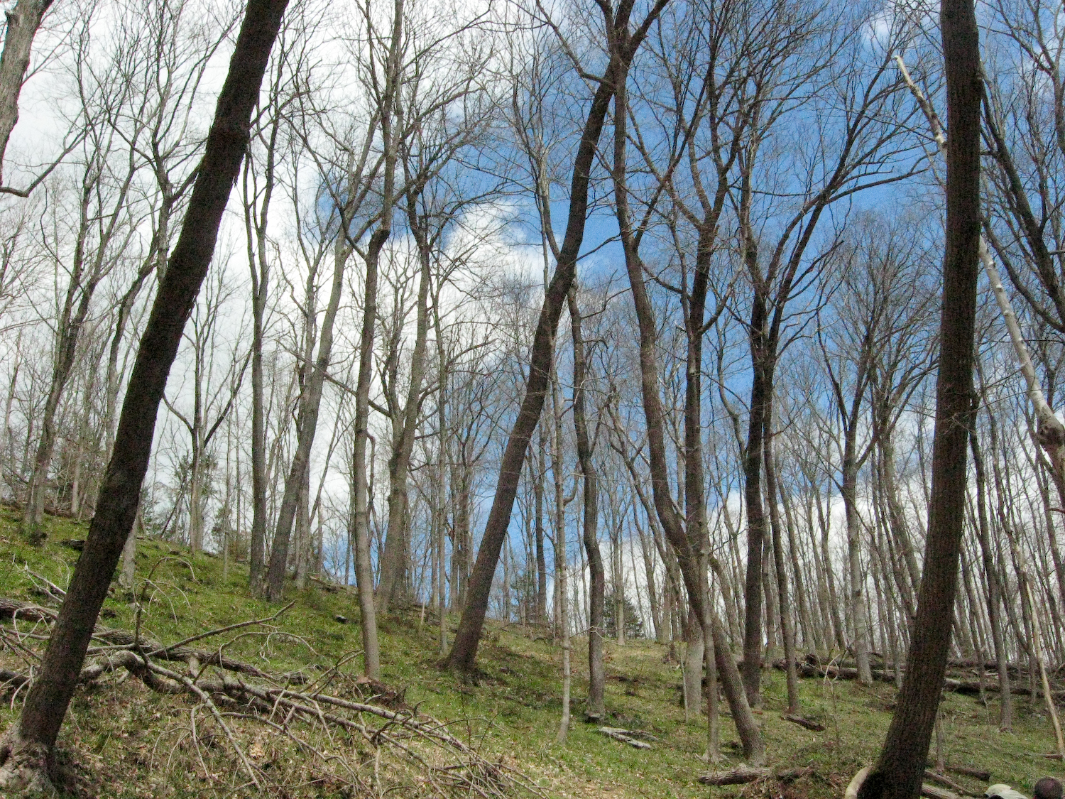 Let It Shine: Tohickon Valley Park and Ralph Stover State Park