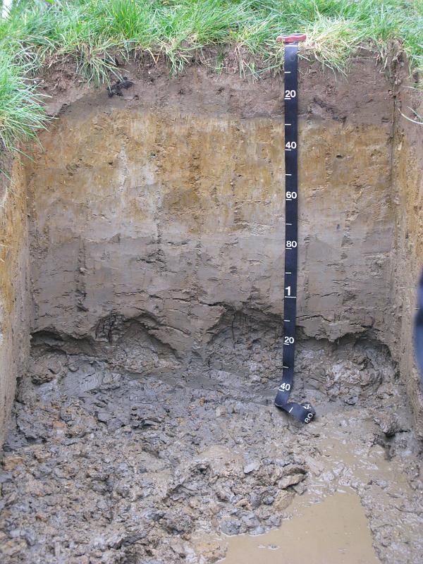 Latvia: Soils of Latvia