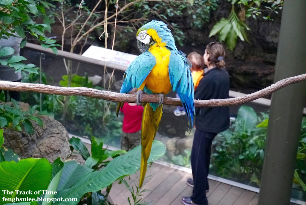Central Park Zoo - Tropic Zone | The Track of Time