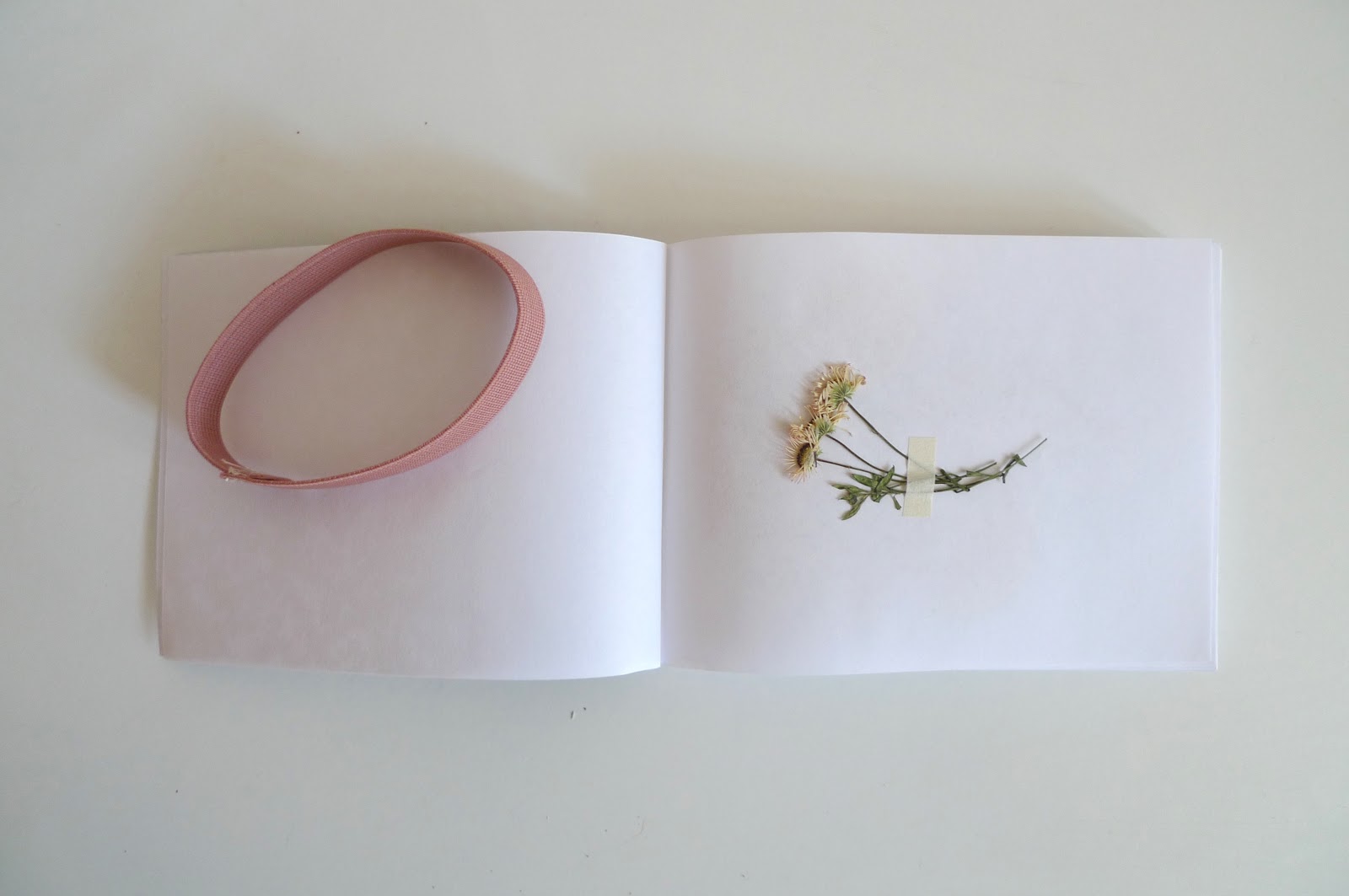 MI MITRIKA: Mini herbarium