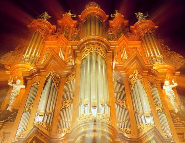 juventus-blog: l' organo