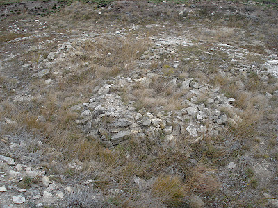 haihui-prin-dobrogea: Doru Davidovici