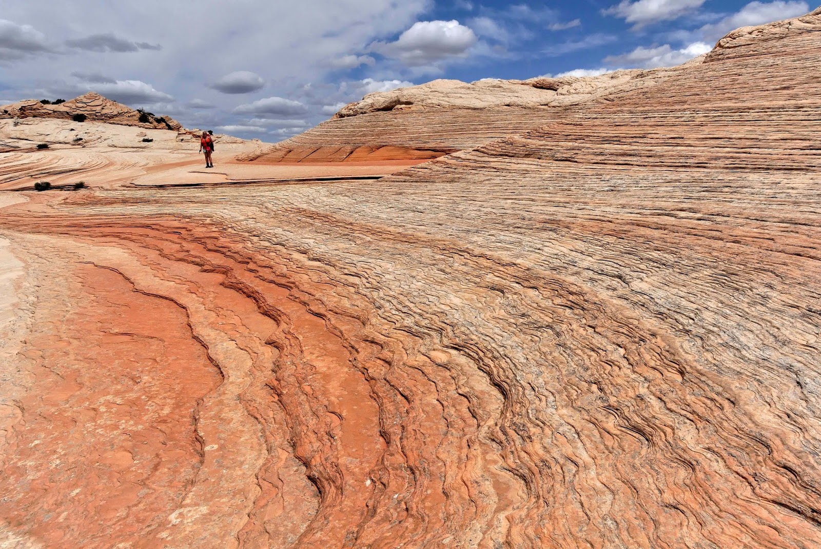 Les voyages de Michèle et Jean-Michel: West Clark Bench - Maze Rock Art ...