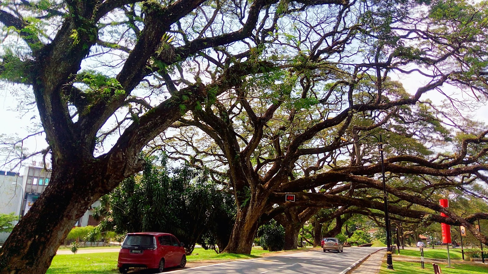 Cuti-cuti Perak Yop!