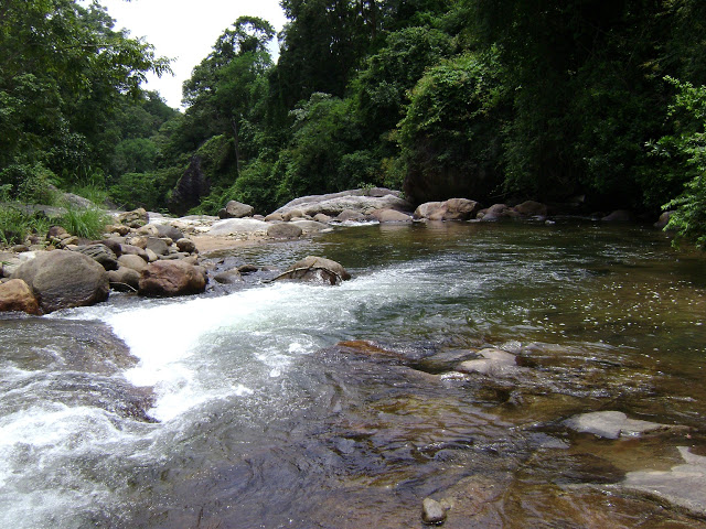 Kalikesam - JungleKey.in Image