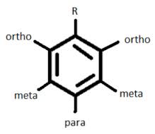 Bienvenidos a Descubrir La Química : Meta, piro, orto y orto, meta, para