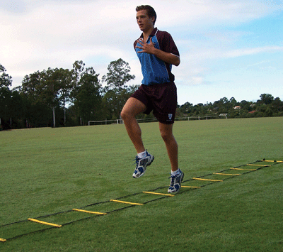 Agility Ladder Training Program: full version free software download ...