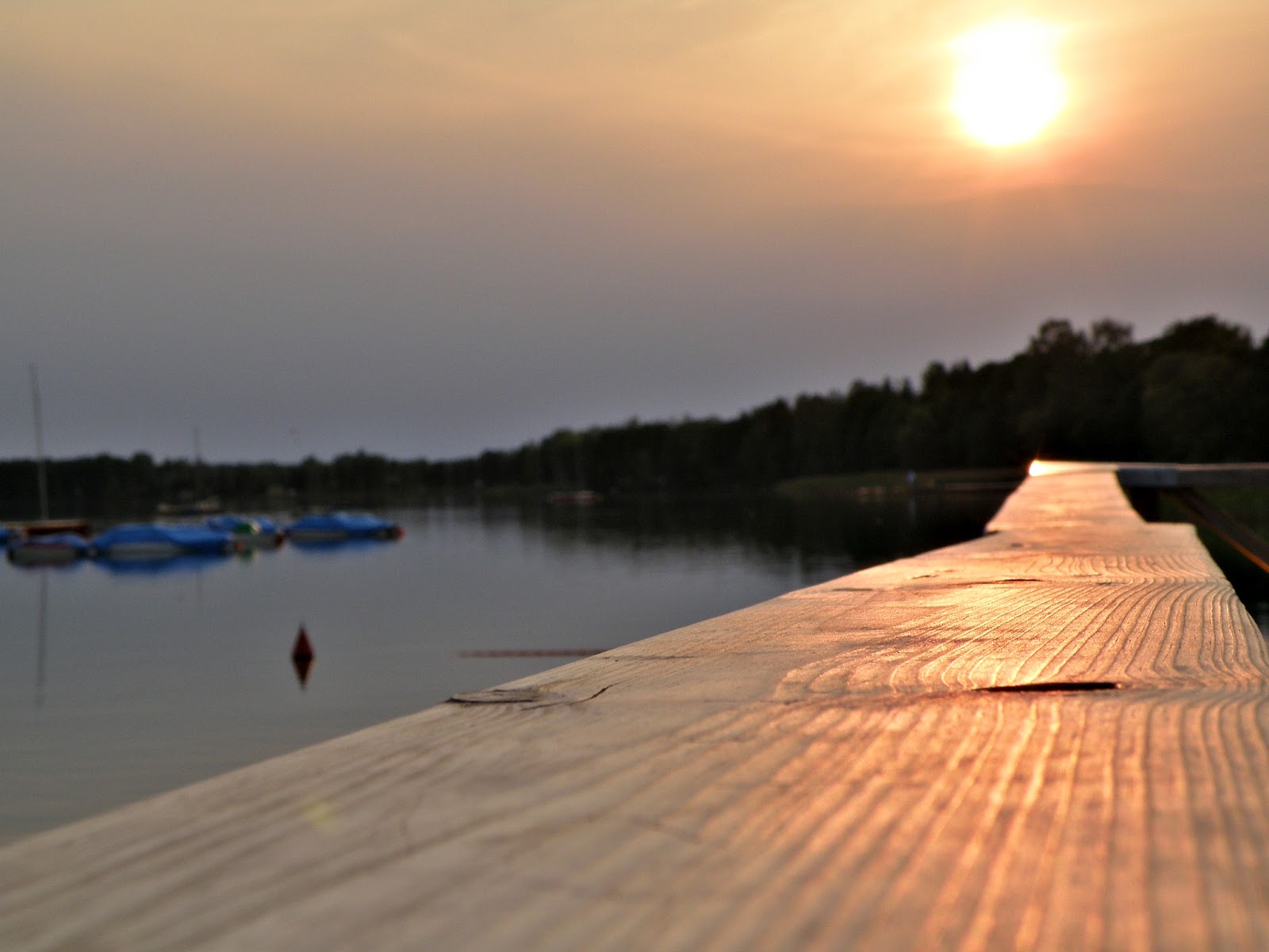 w obiektywie: Okuninka