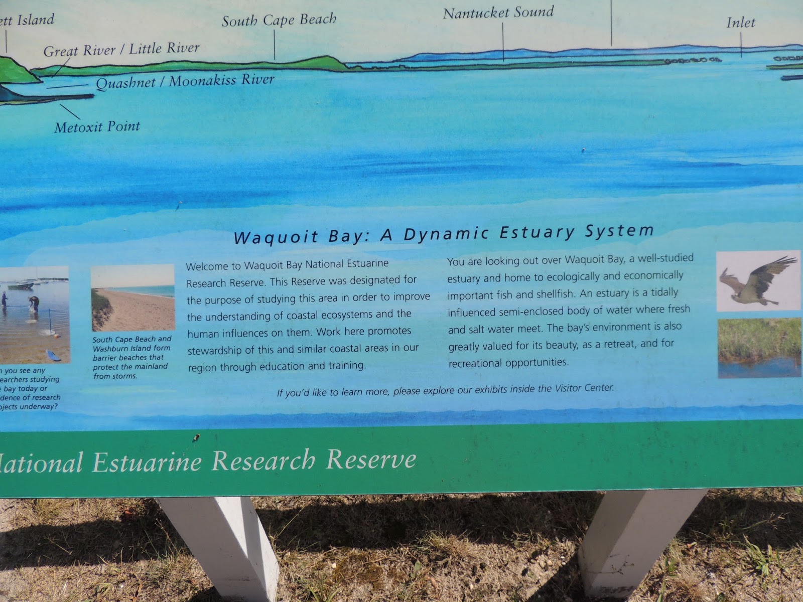 From Camping to Glamping: Cape Cod Waquoit Bay Reserve