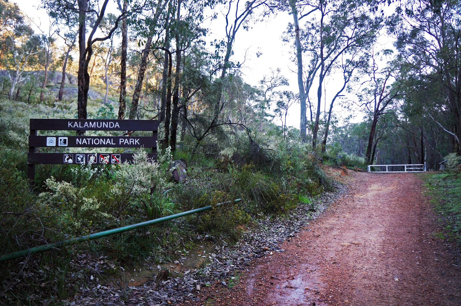Piesse Gully Loop (Kalamunda National Park) ~ The Long Way's Better