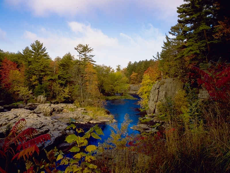 Good Wallpapers - H D Photos: Netural Beauty