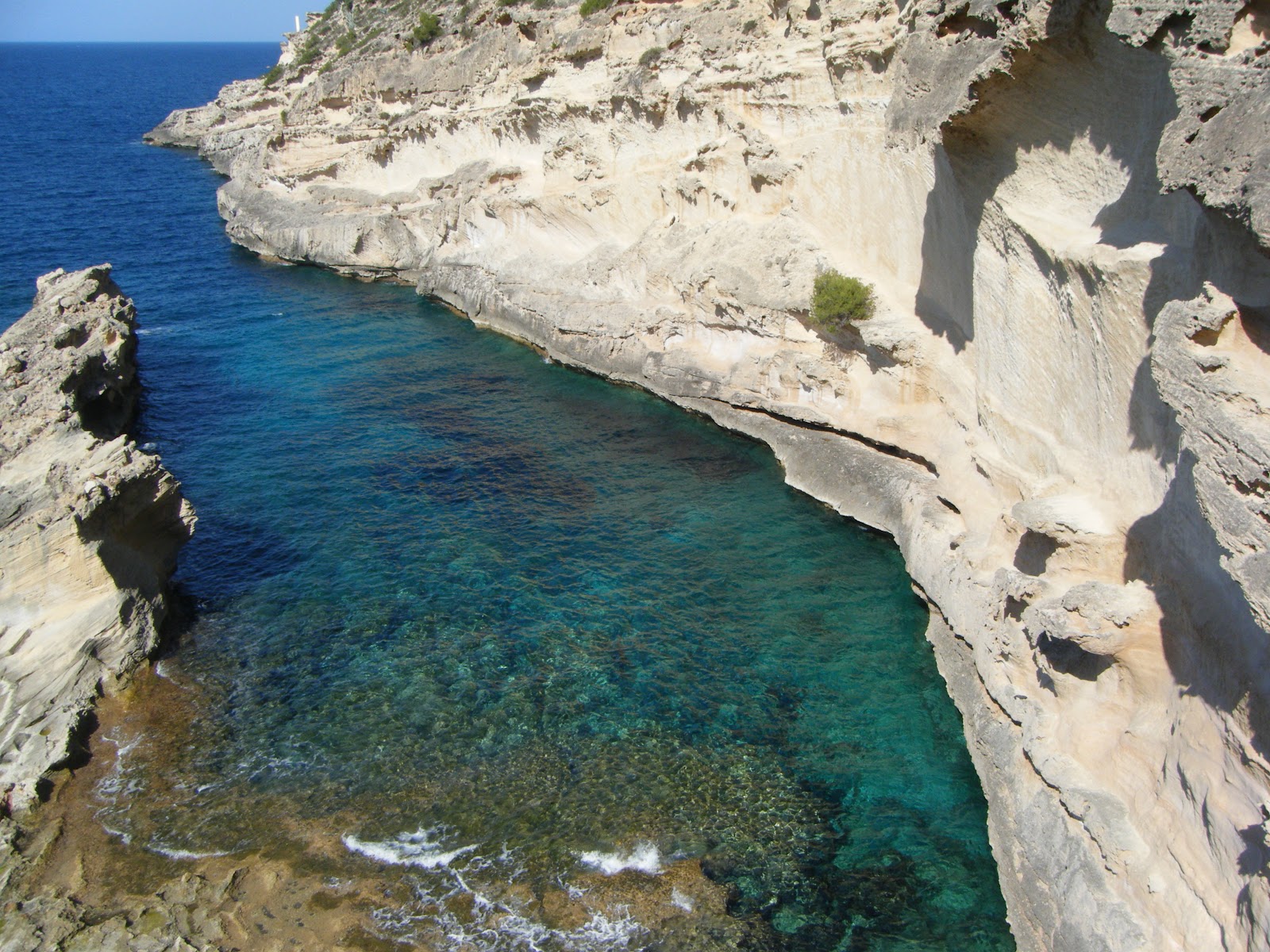 Mallorca t'estim!: Isla del Toro