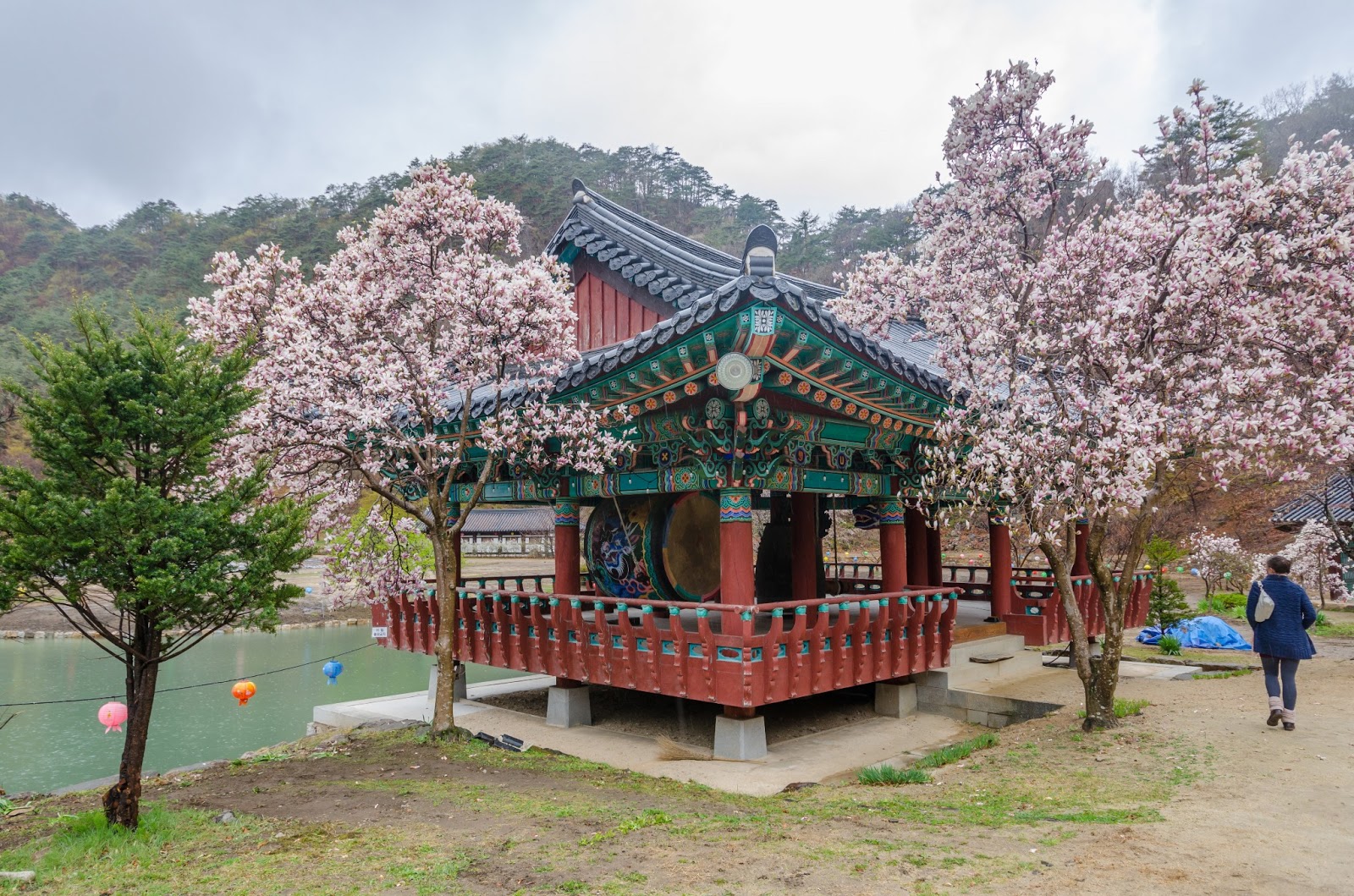 Bulyeongsa Temple | 10 Pictures in Pohang