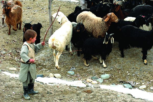 With Eternity In Our Eyes: To Every Tribe Tuesday -Aimaq Taimani of ...