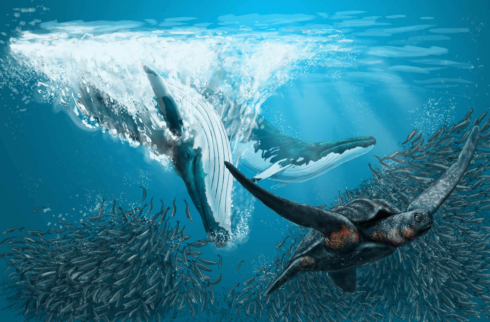 Species New to Science: [PaleoMammalogy • 2019] Nehalaennia devossi • A ...