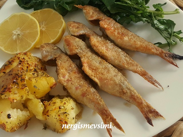 nergismevsimi: BARBUNYA BALIĞI TAVA