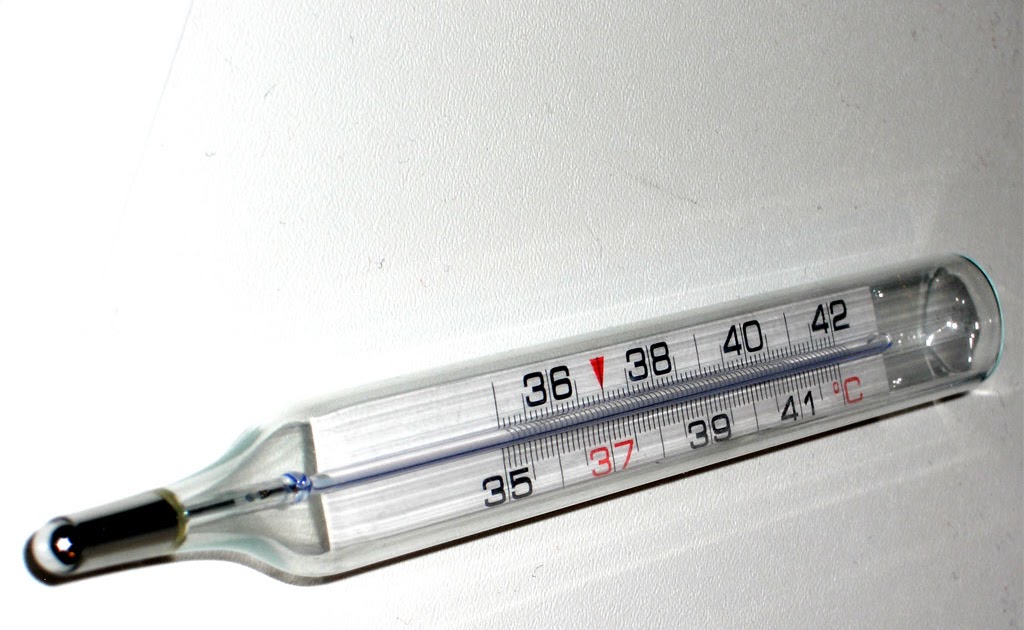 EL TERMOMETRO: CONCEPTO Y UTILIDAD