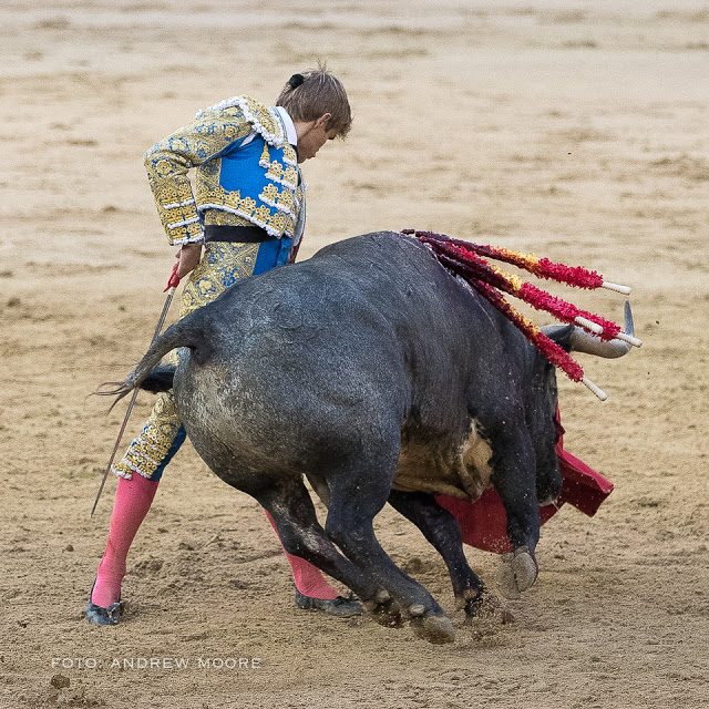 Toreando en los medios: mayo 2017