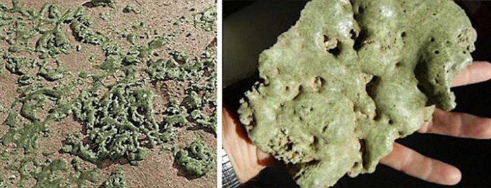 Scientists discover evidence of ANCIENT ‘NUCLEAR WAR’ thousands of ...