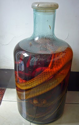 The Presurfer: Drinking The Undrinkable: Asian Snake Wine