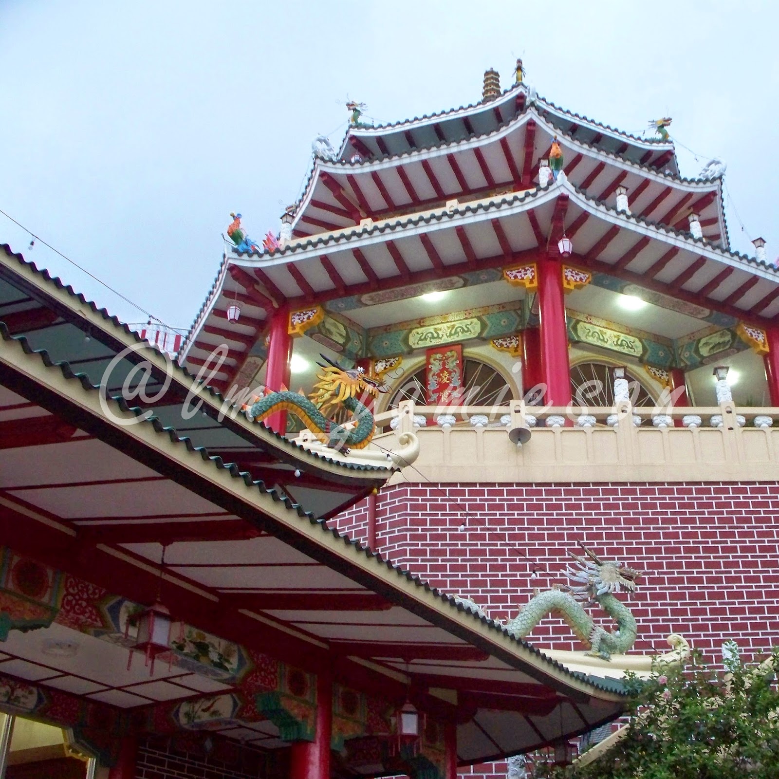 Lin-Marie Jamieson: May 2015