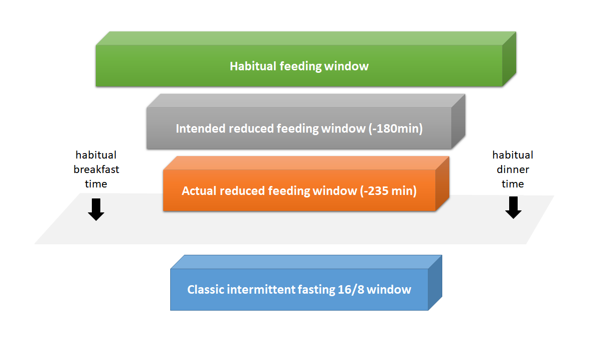 Postpone Breakfast, Prepone Dinner (Each 90 Min), Eat How Much ...