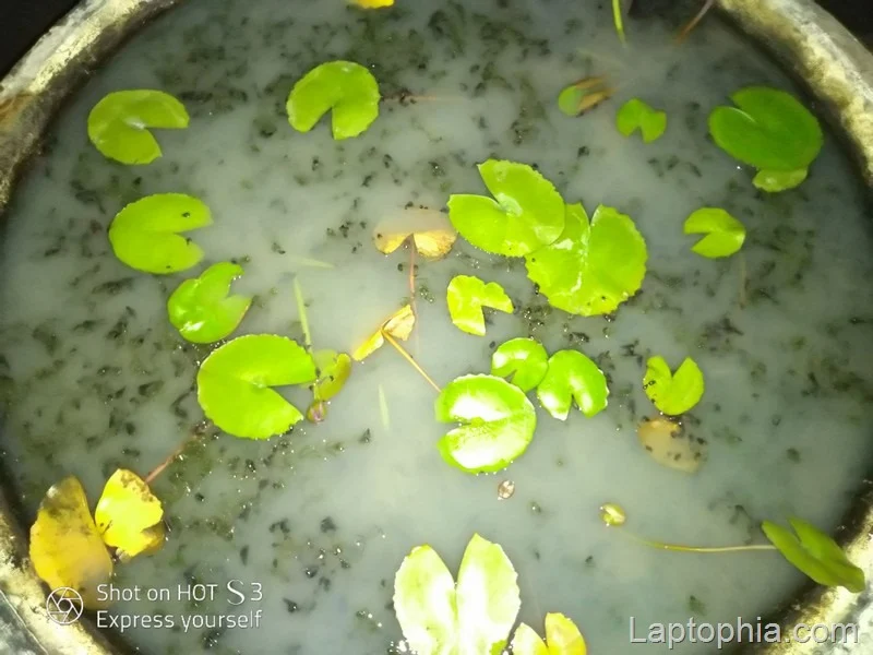 Review Infinix Hot S3 X573: Smartphone Selfie Killer dengan OS Android ...