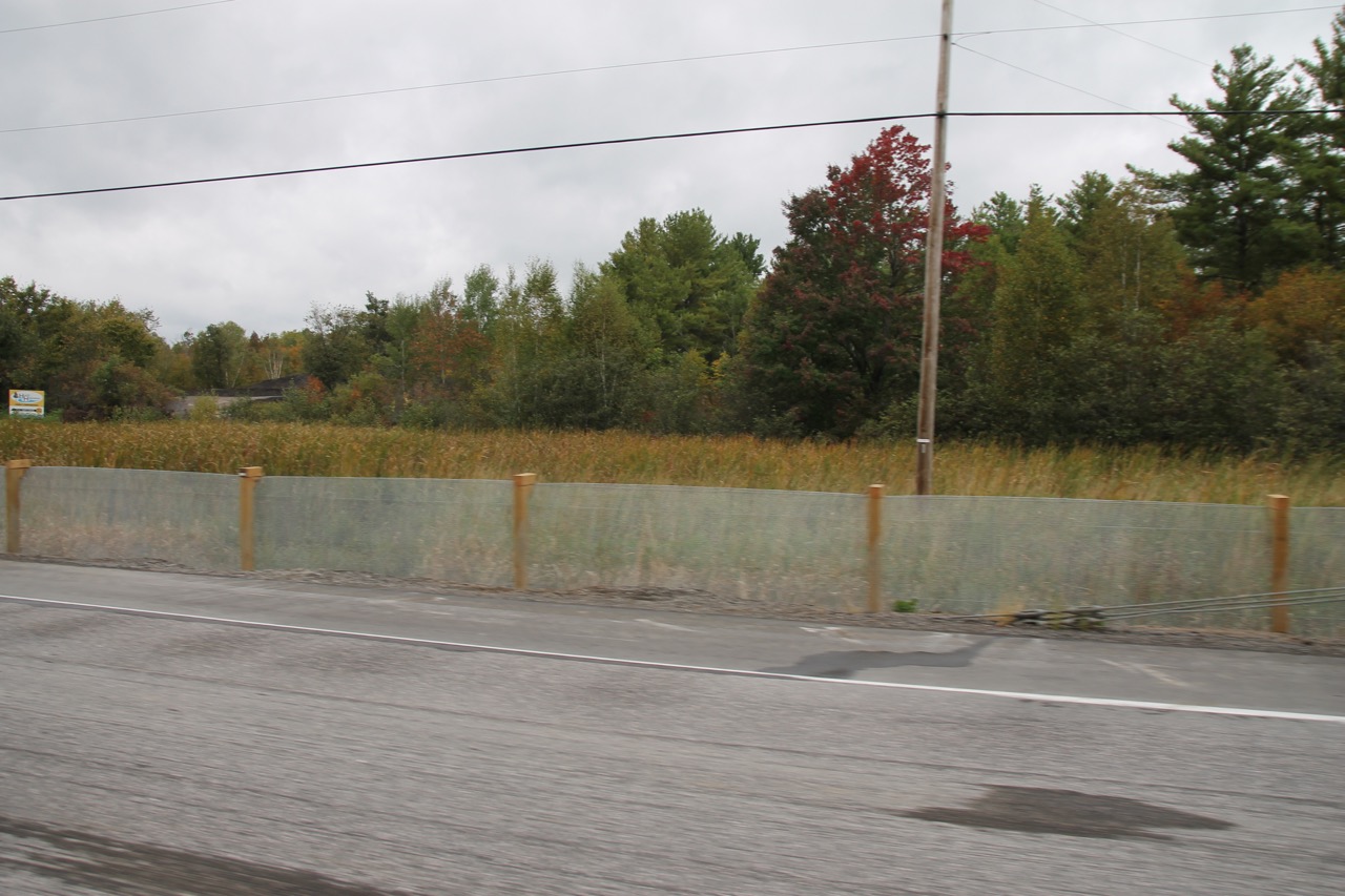 Reflections from Crumbly Acres: Turtle mitigation barriers