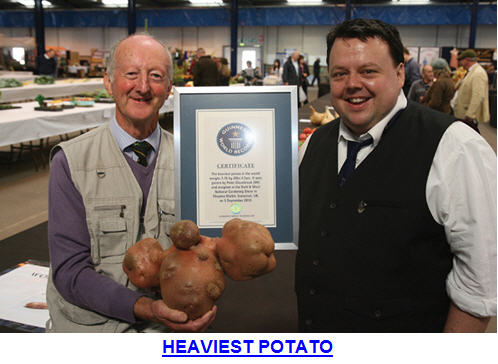 S T R A V A G A N Z A: GUINNESS WORLD RECORDS 2012 - SOME FOOD RELATED ...