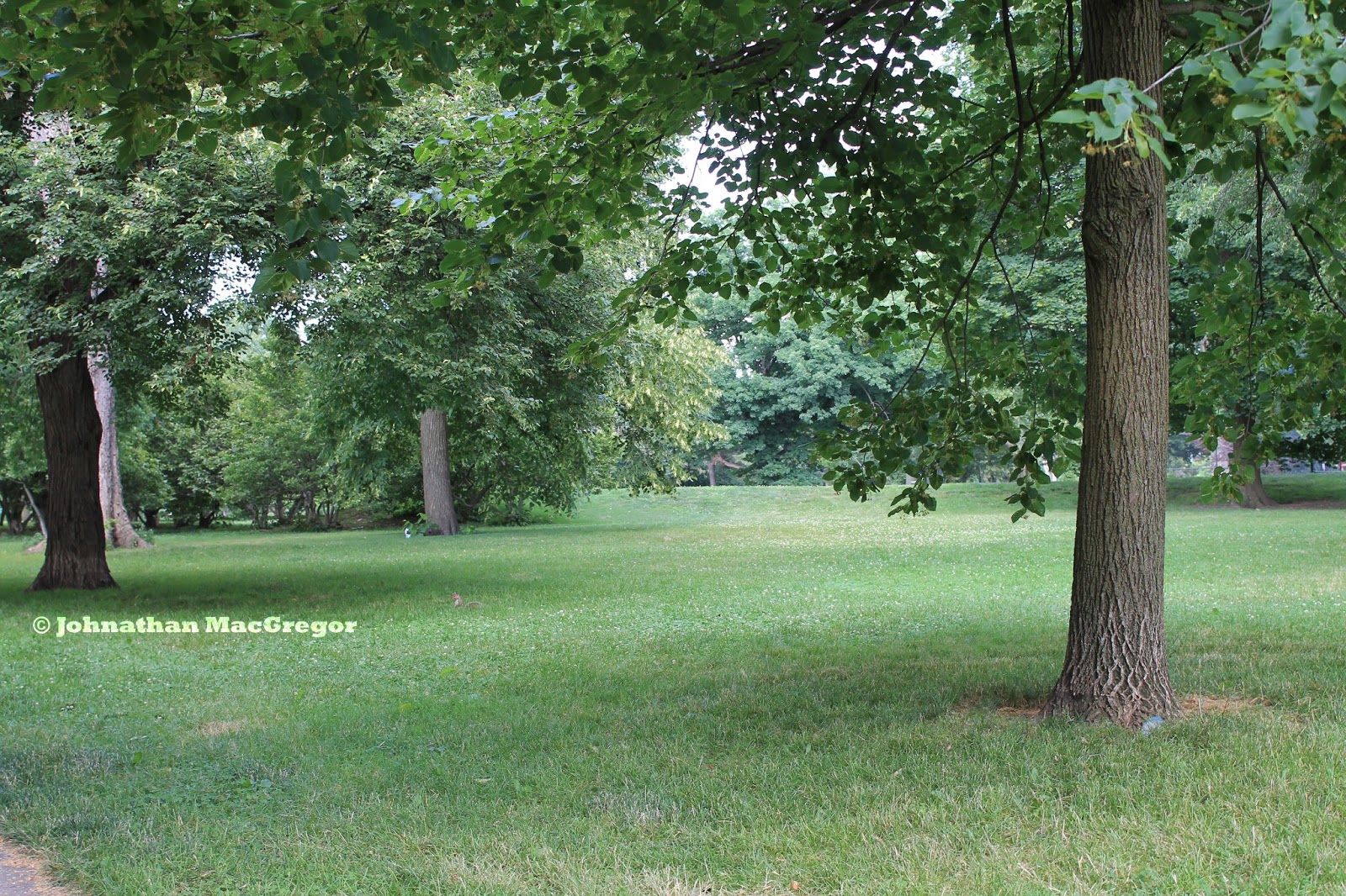 Books and Cameras: Goodale Park