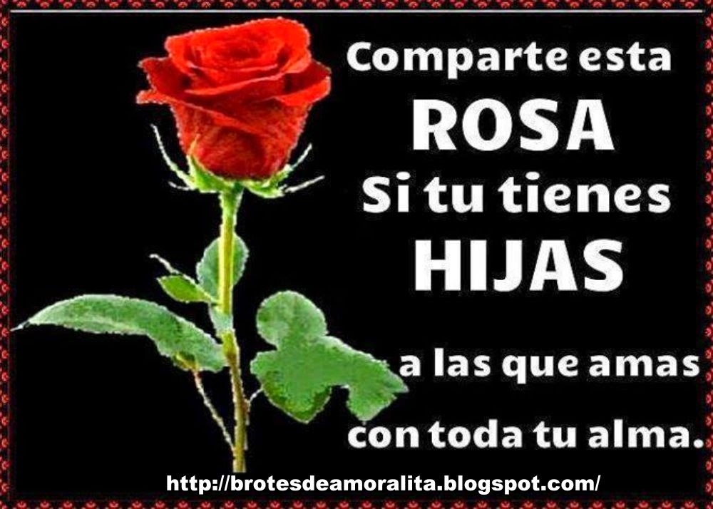Brotes de Amor: COMPARTE ESTA ROSA