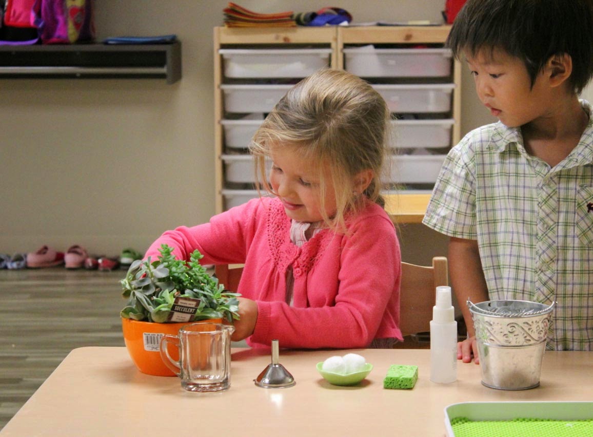 It's A Montessori Life: Care Of The Environment