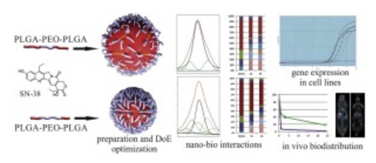 PolySciTech Technical Blog: Fundamental nanoparticle-biological ...