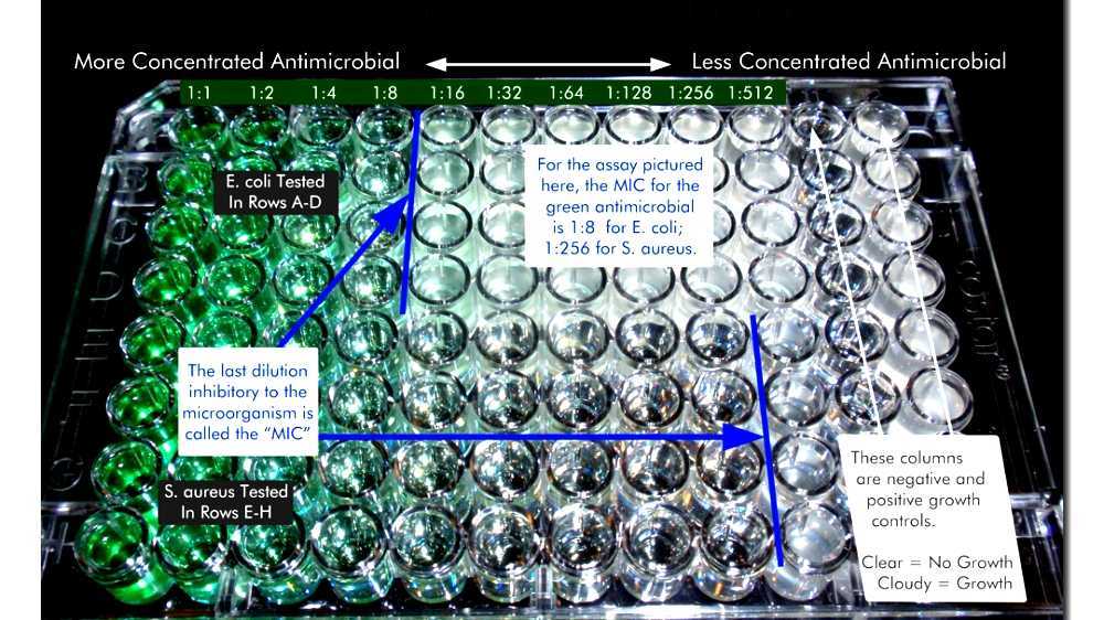 Minimum inhibitory concentration