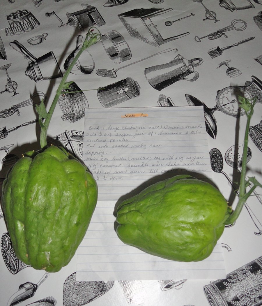 Chokos ready to plant | down to earth