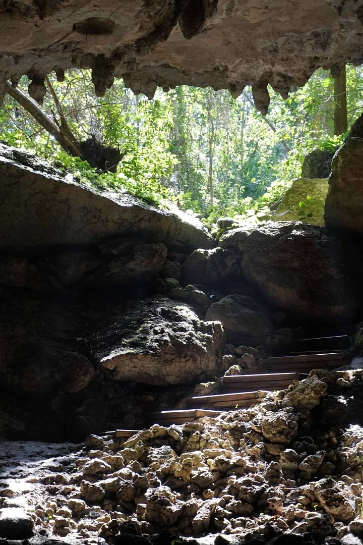 The Doll Sweet Journal.: Puerto Rico and the Picture Window Cave