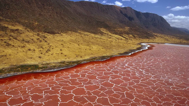 The Red Sea - High Definition Wallpapers - HD wallpapers